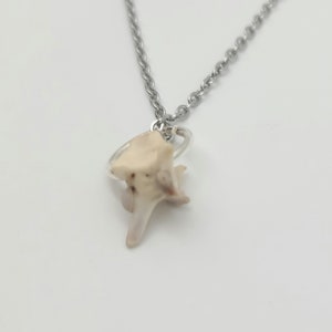 Silver Single Snake Vertebrae Bone Necklace, Real Bone Necklace ...