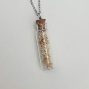 Snake Vertebrae Vial Pendant Necklace, Real Animal Bone, Vulture ...