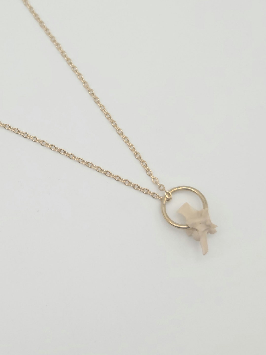 Gold Single Snake Vertebrae Bone Necklace, Real Bone Necklace, Vulture ...