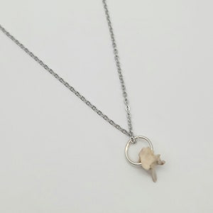Silver Single Snake Vertebrae Bone Necklace, Real Bone Necklace ...