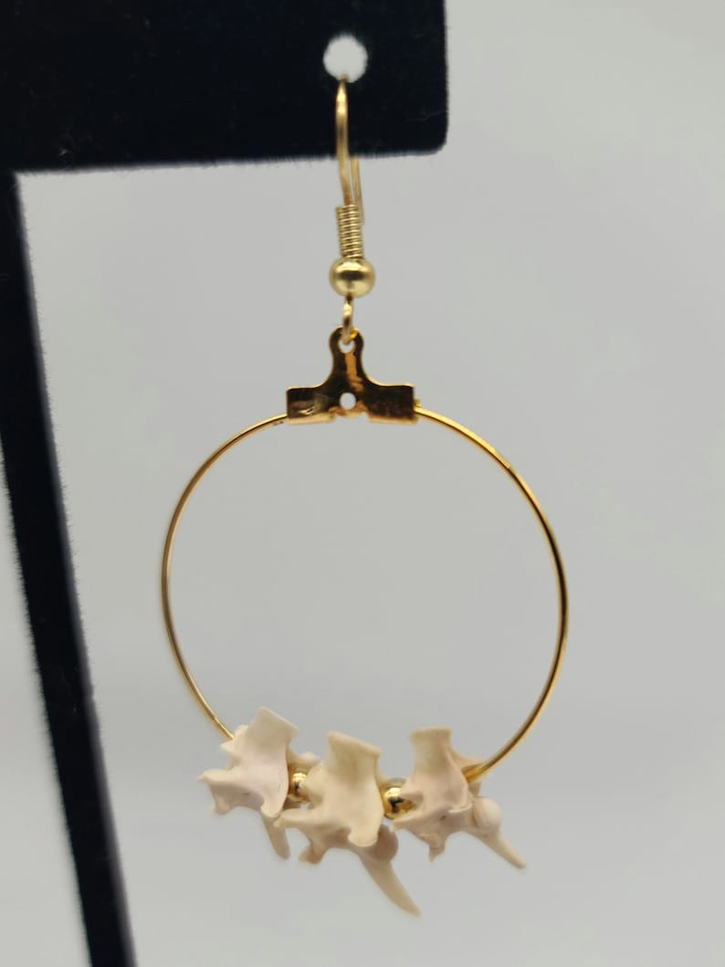 18k Gold Snake Bone Hoop Earrings Vertebrae Vulture Culture - Etsy