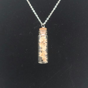 Snake Vertebrae Vial Pendant Necklace, Real Animal Bone, Vulture ...