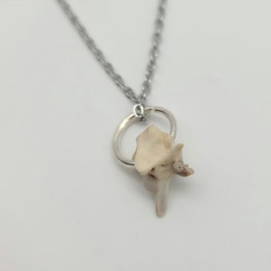 Silver Single Snake Vertebrae Bone Necklace, Real Bone Necklace ...