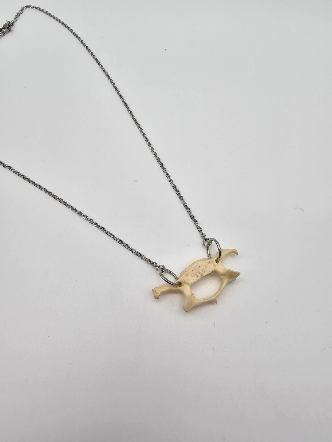 Beaver Bone Necklace, Vulture Culture, Real Bone, Dark Cottagecore ...