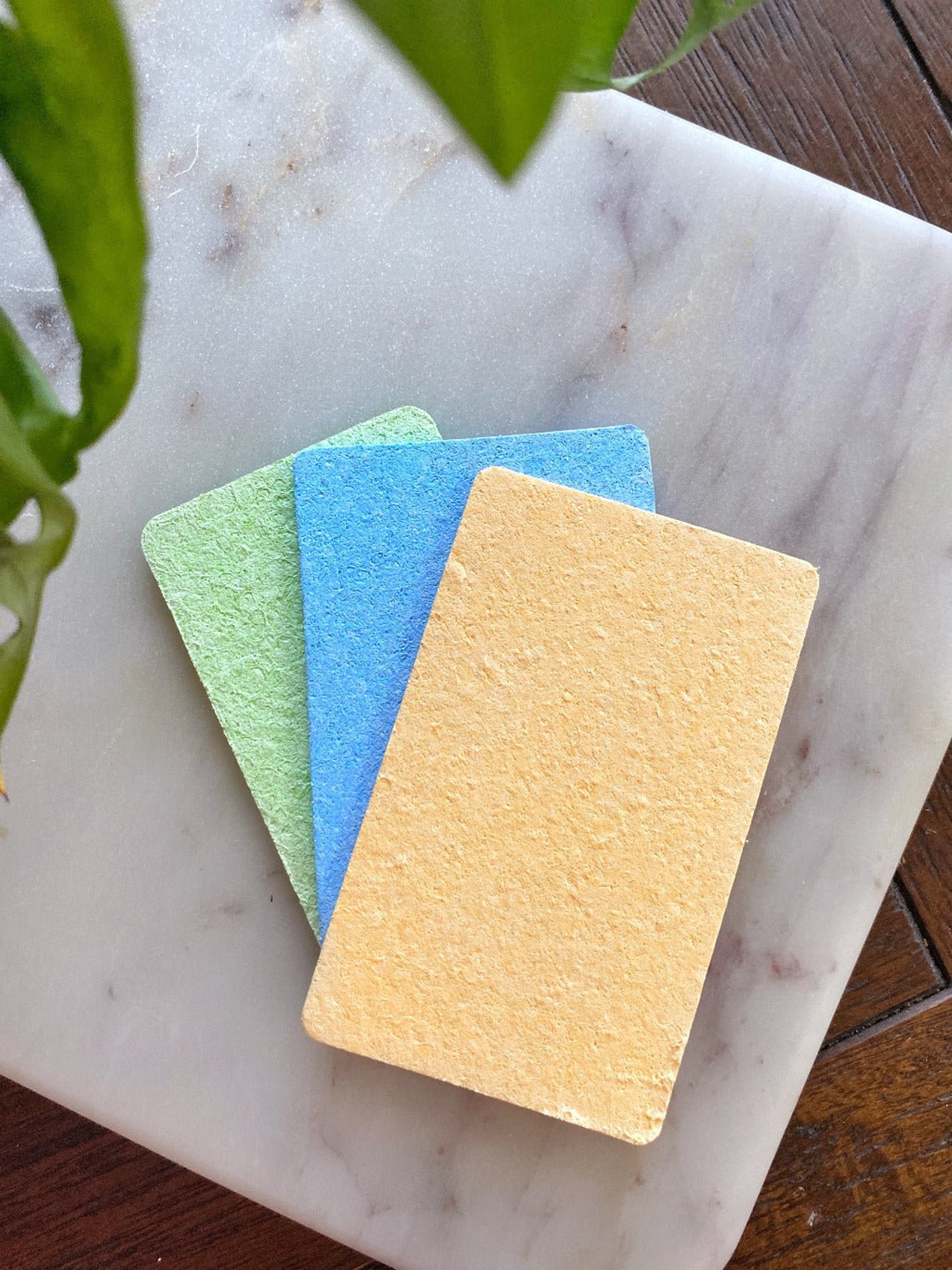 Pop up Sponges 3-pack Eco Friendly Zero Waste Plastic - Etsy