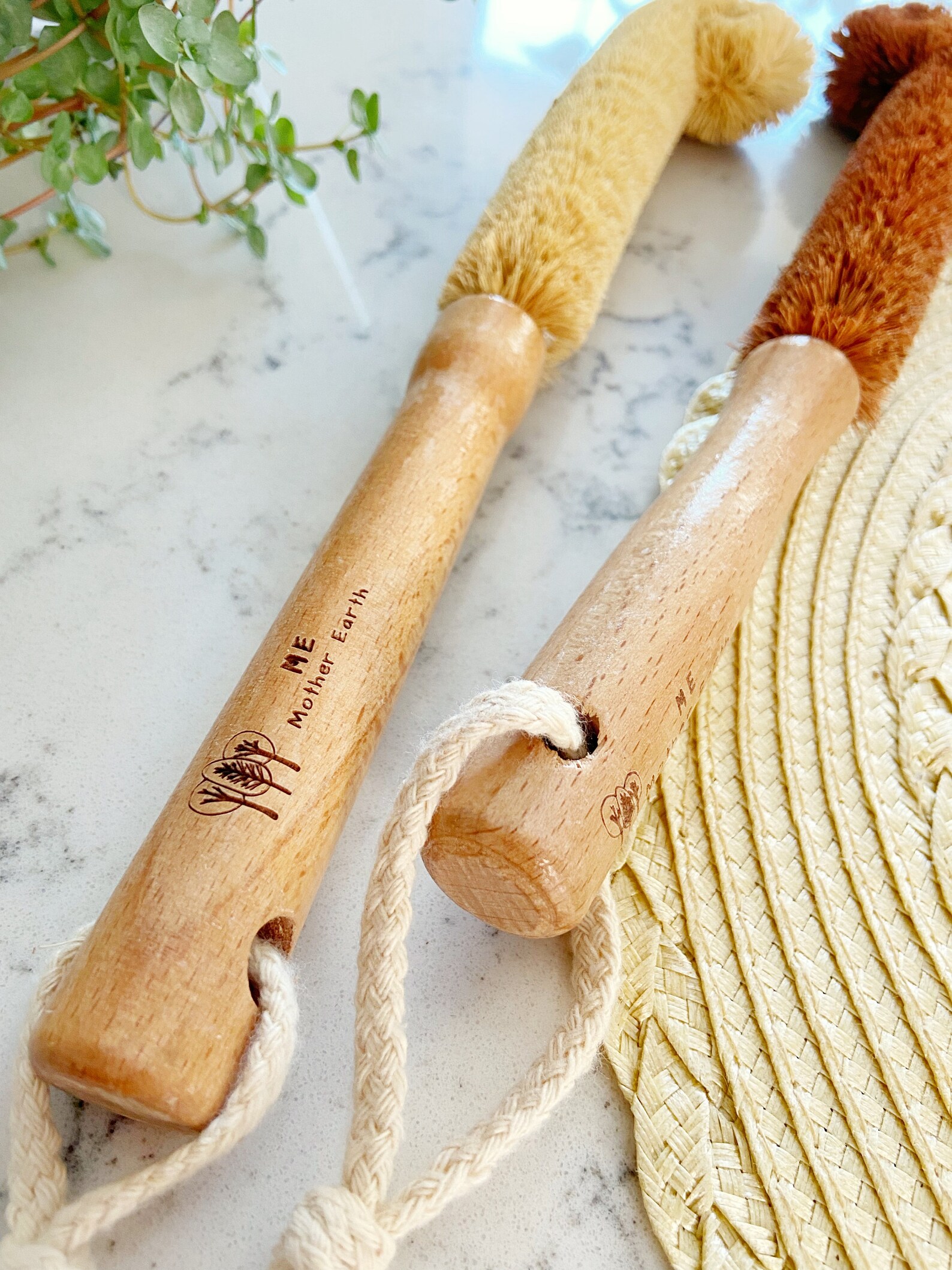 Bottle Scrub Brush Wood With Coconut Fibers Eco Friendly - Etsy