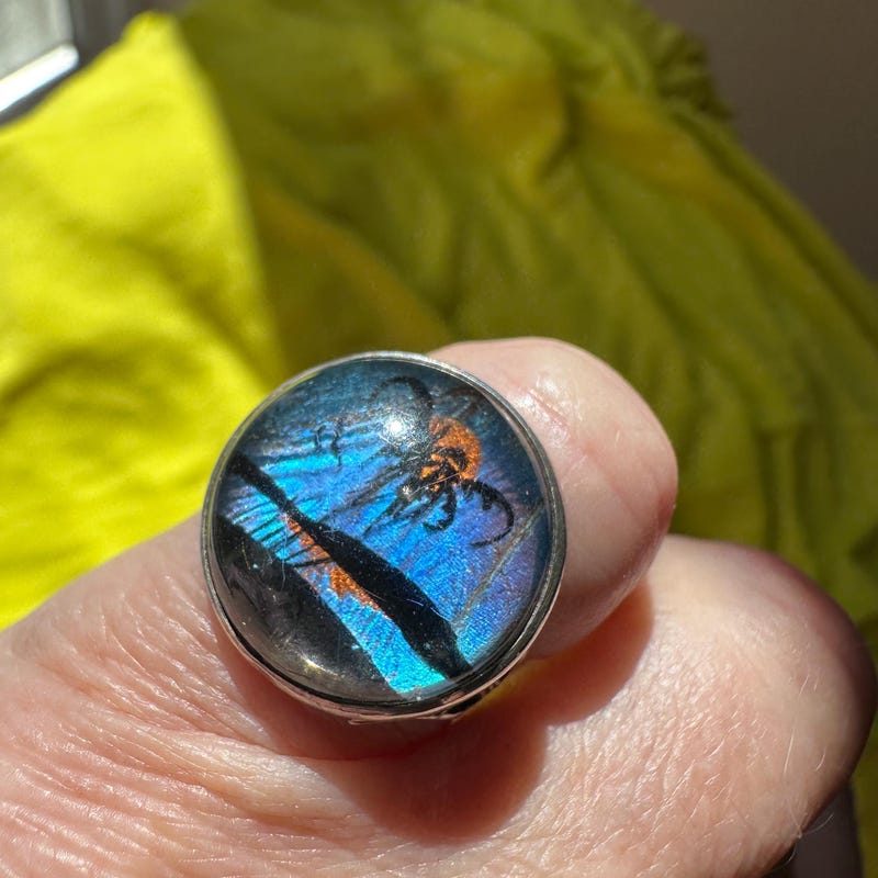 Butterfly Wing Ring - Etsy