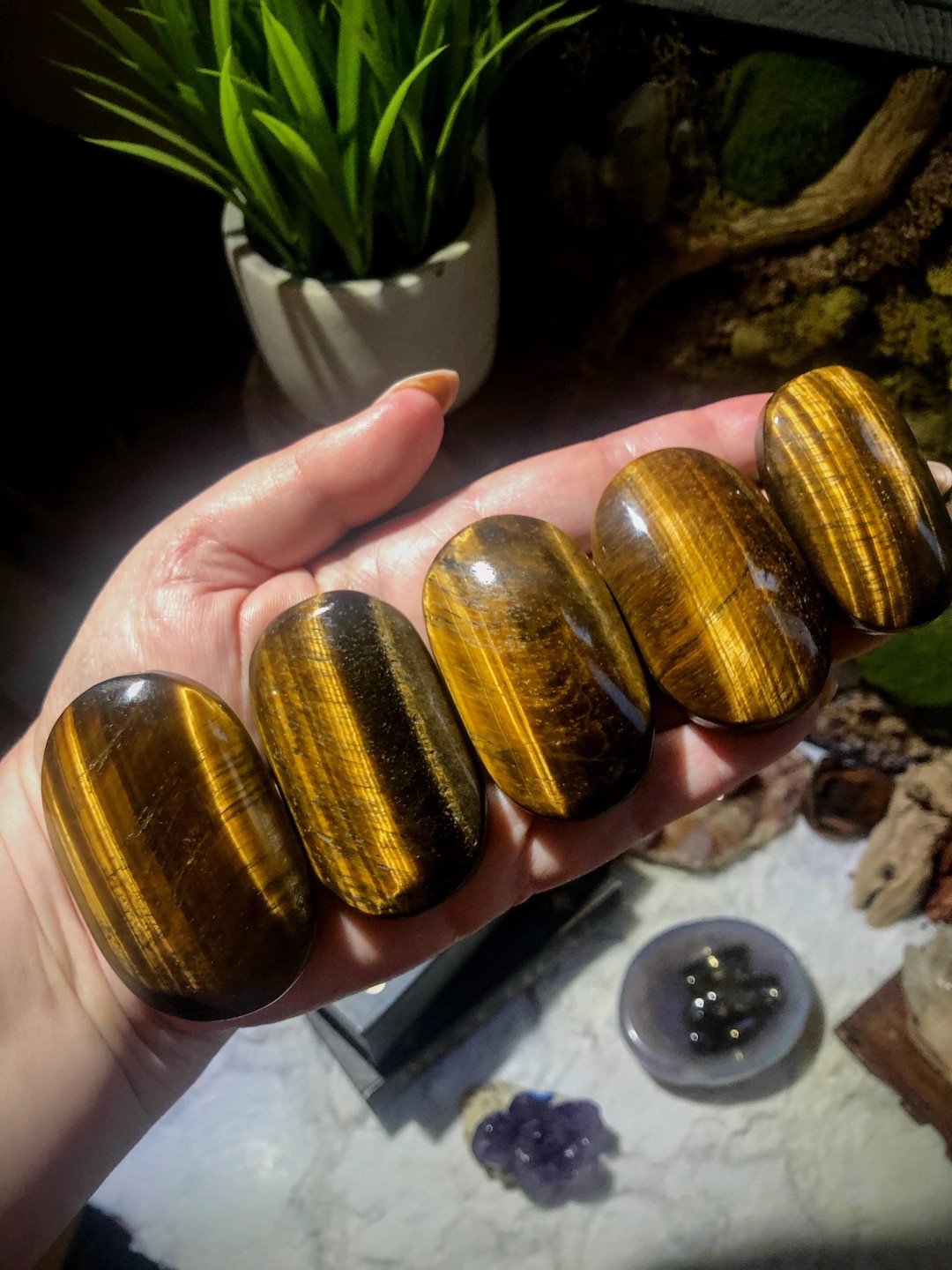 ONE Flashy Tiger Eye Palm Stone, Tiger Eye Palmstone, Polished Tigers ...