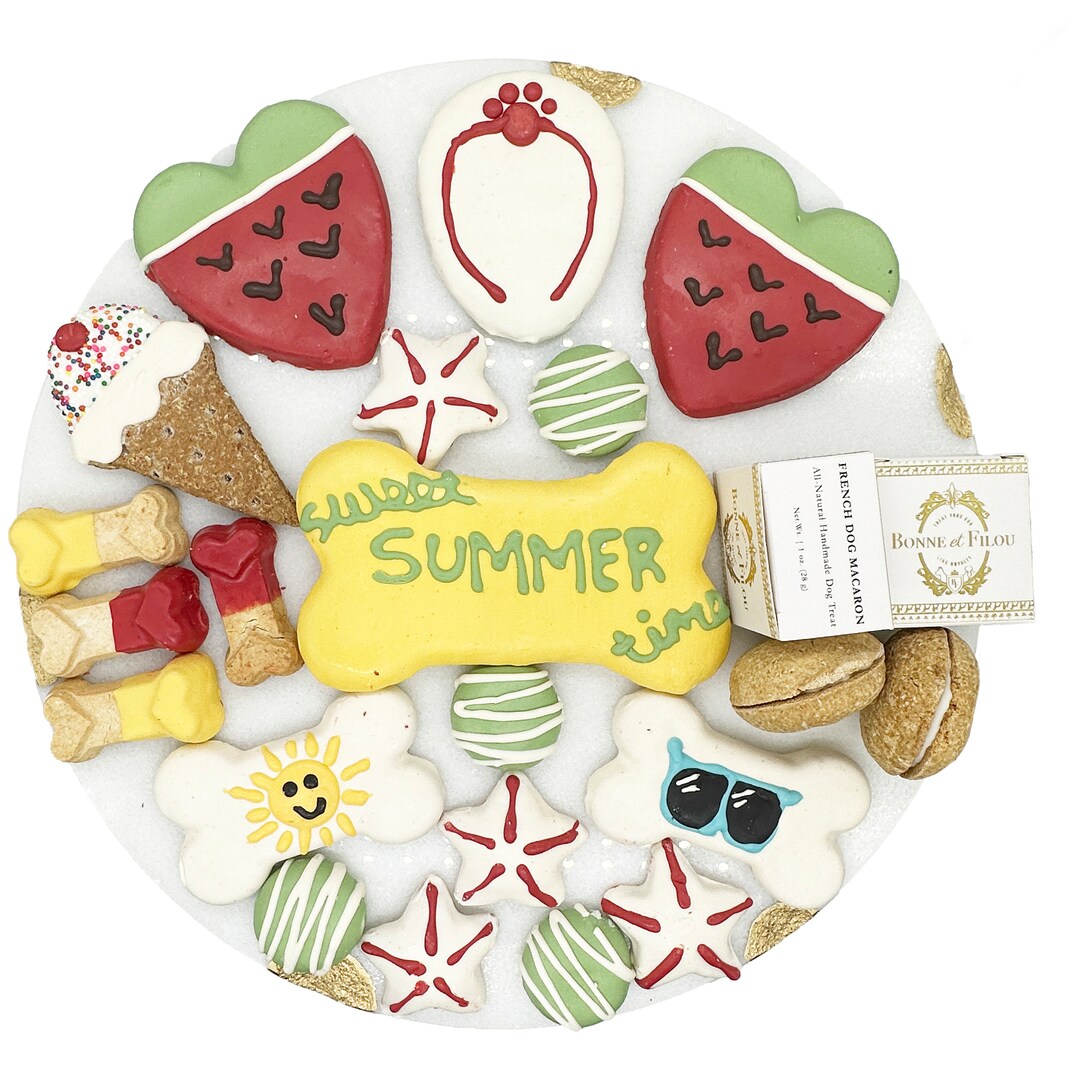 Summer Dog Treats Gift Box, Summer Dog Gift, Pool Dog Treat, Dog Beach ...