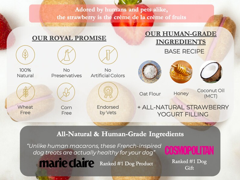 Dog Macarons Ranked 1 Best Dog Gift / All-natural Gourmet - Etsy