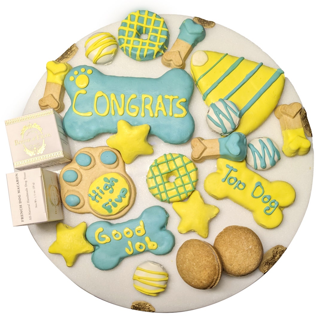 Congratulations Dog Treats New Dog Gift, Congrats Dog Treat, Congrats ...