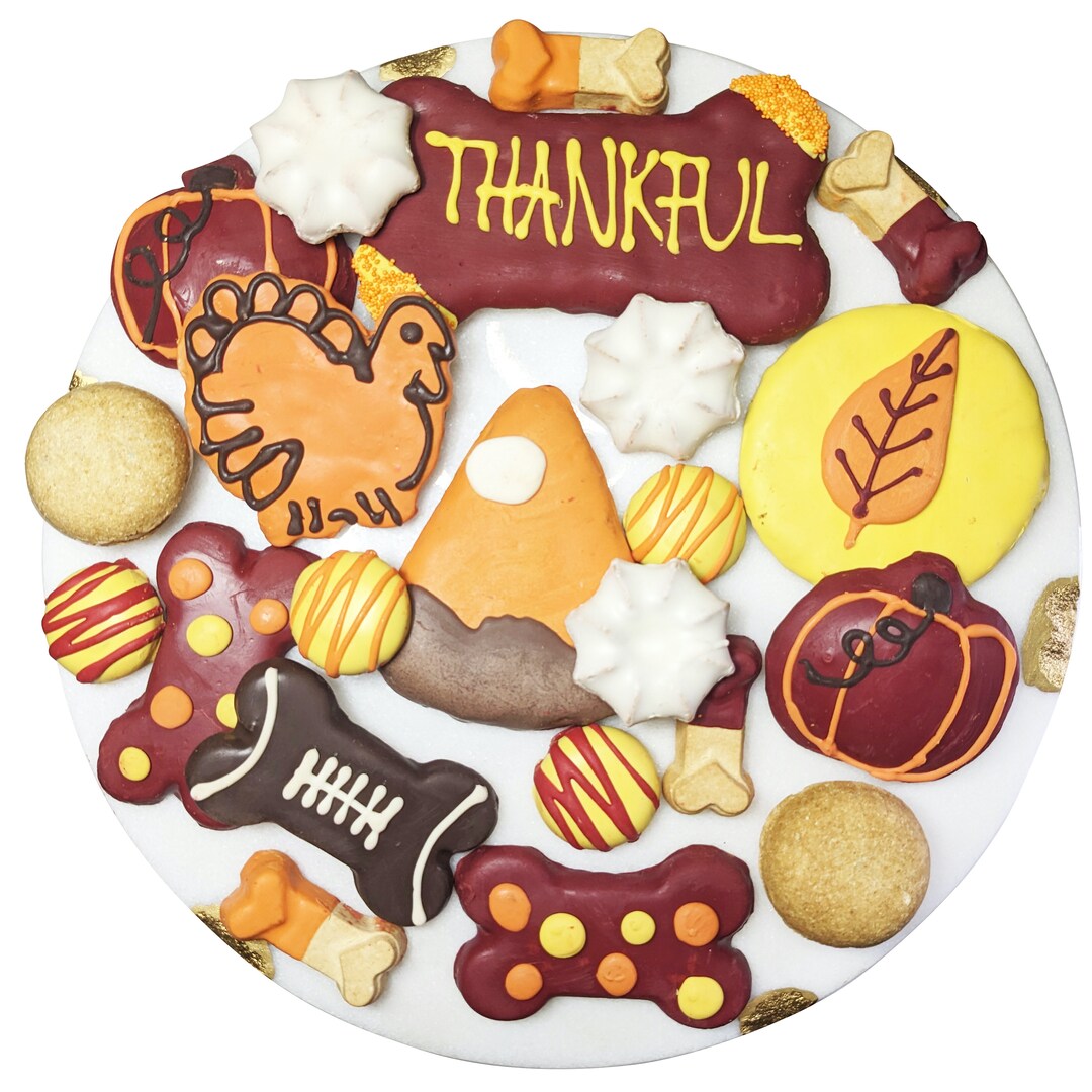 Thanksgiving Dog Treats, Fall Dog Treats, Dog Gift Box, Turkey Dog ...