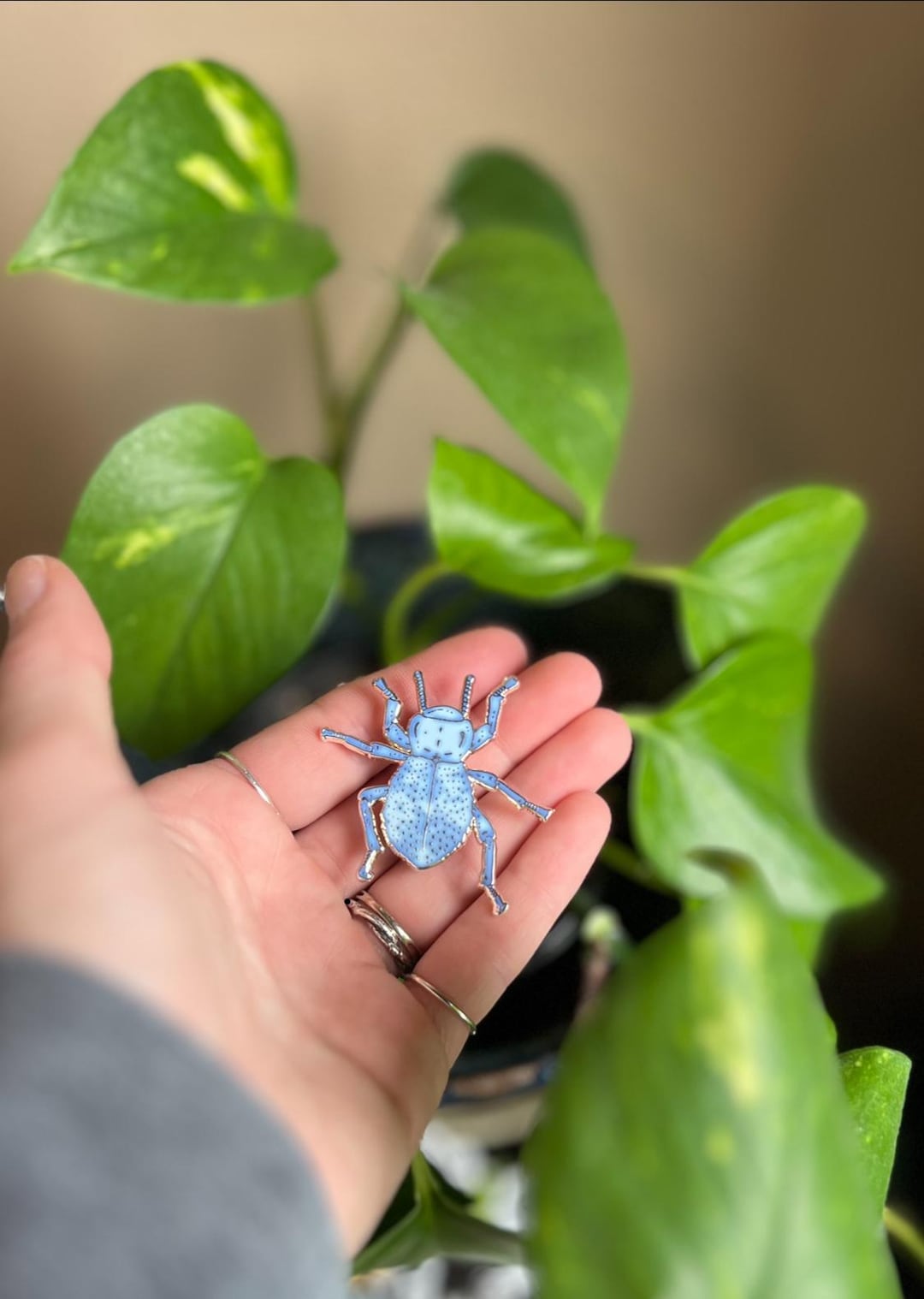 Blue Death Feigning Beetle Hard Enamel Pin - Etsy