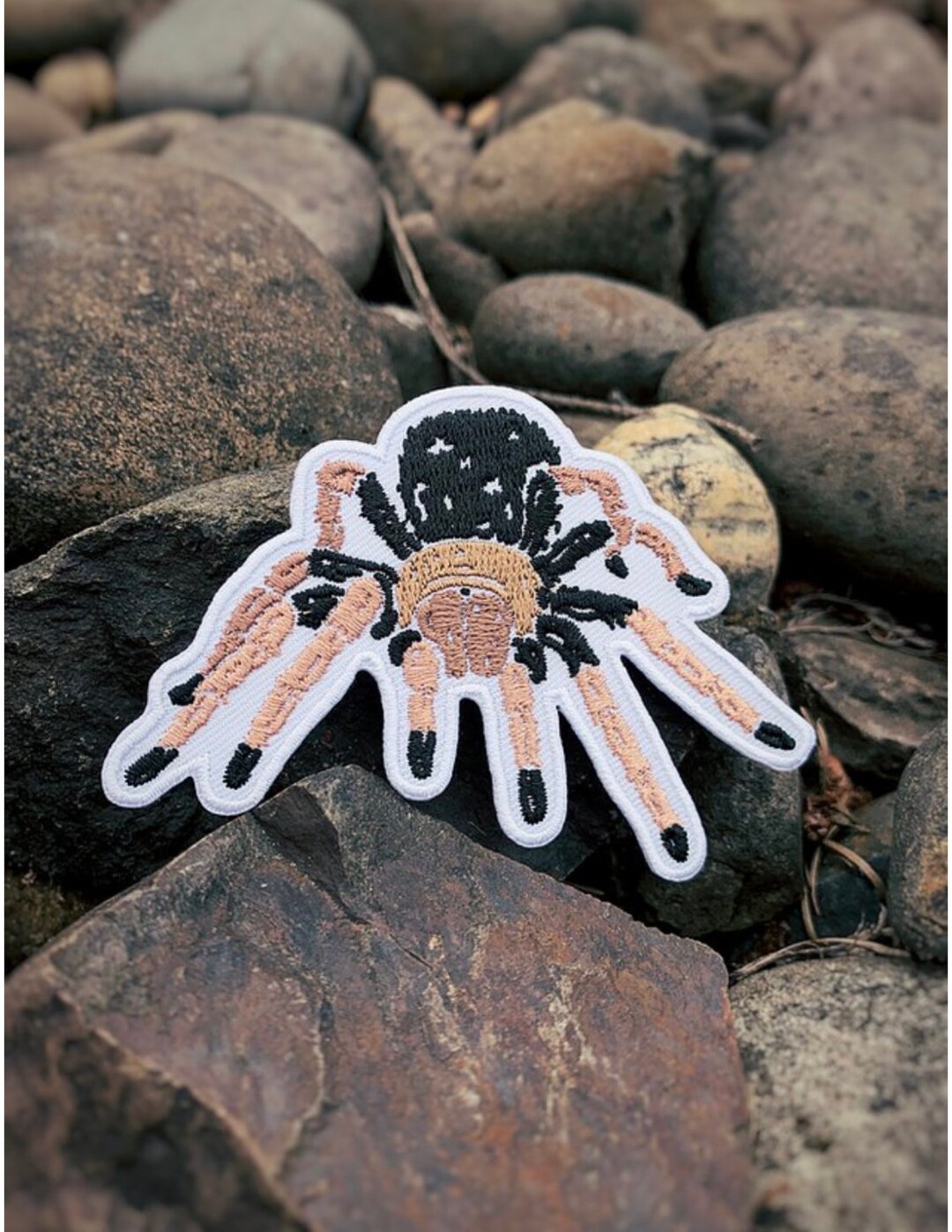 Desert Blonde Tarantula Patch - Etsy