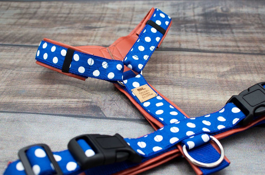 Dog Harness DORI, With Artificial Leather, Dotted, Blue and Brown ...