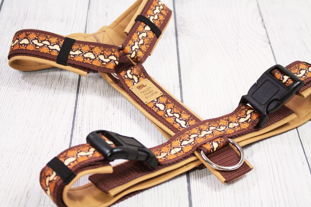 Dog Harness SNAKE, With Imitation Leather, With Snakeskin Pattern, Dogs ...