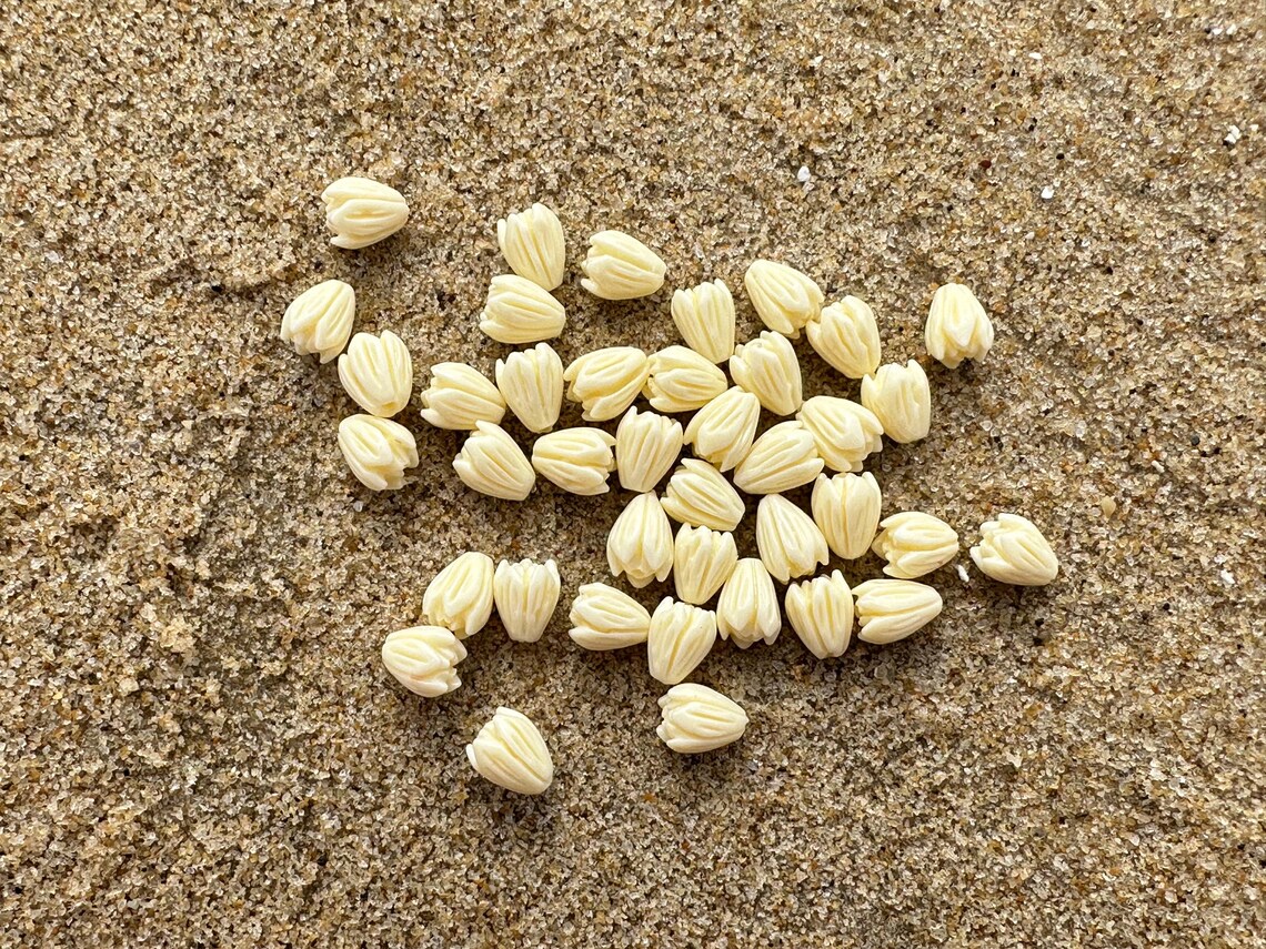 Pikake Beads，diy Hawaiian Jasmine Flower Composite Resin Coral Tulip ...