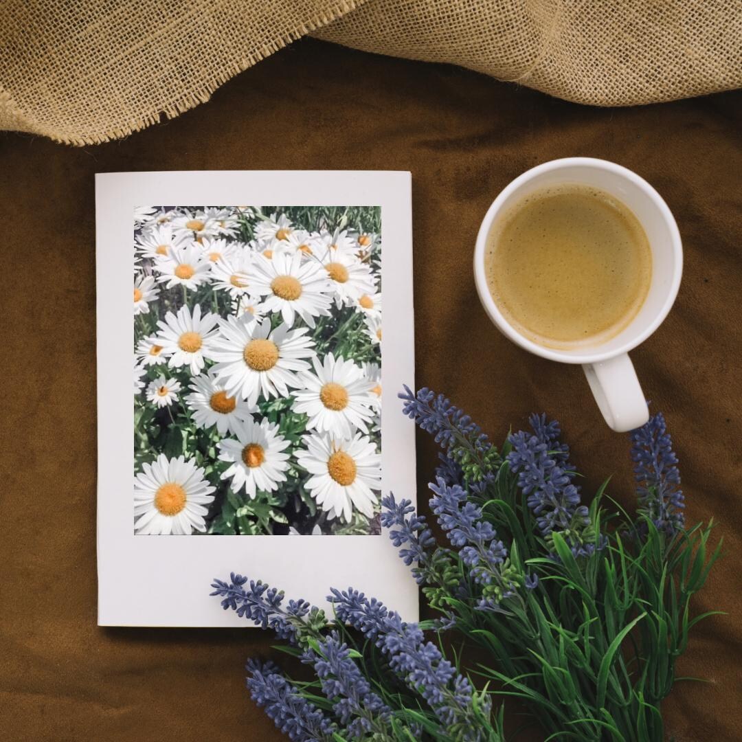 Printable Bundle of Daisies, Nature Wall Photography - Etsy