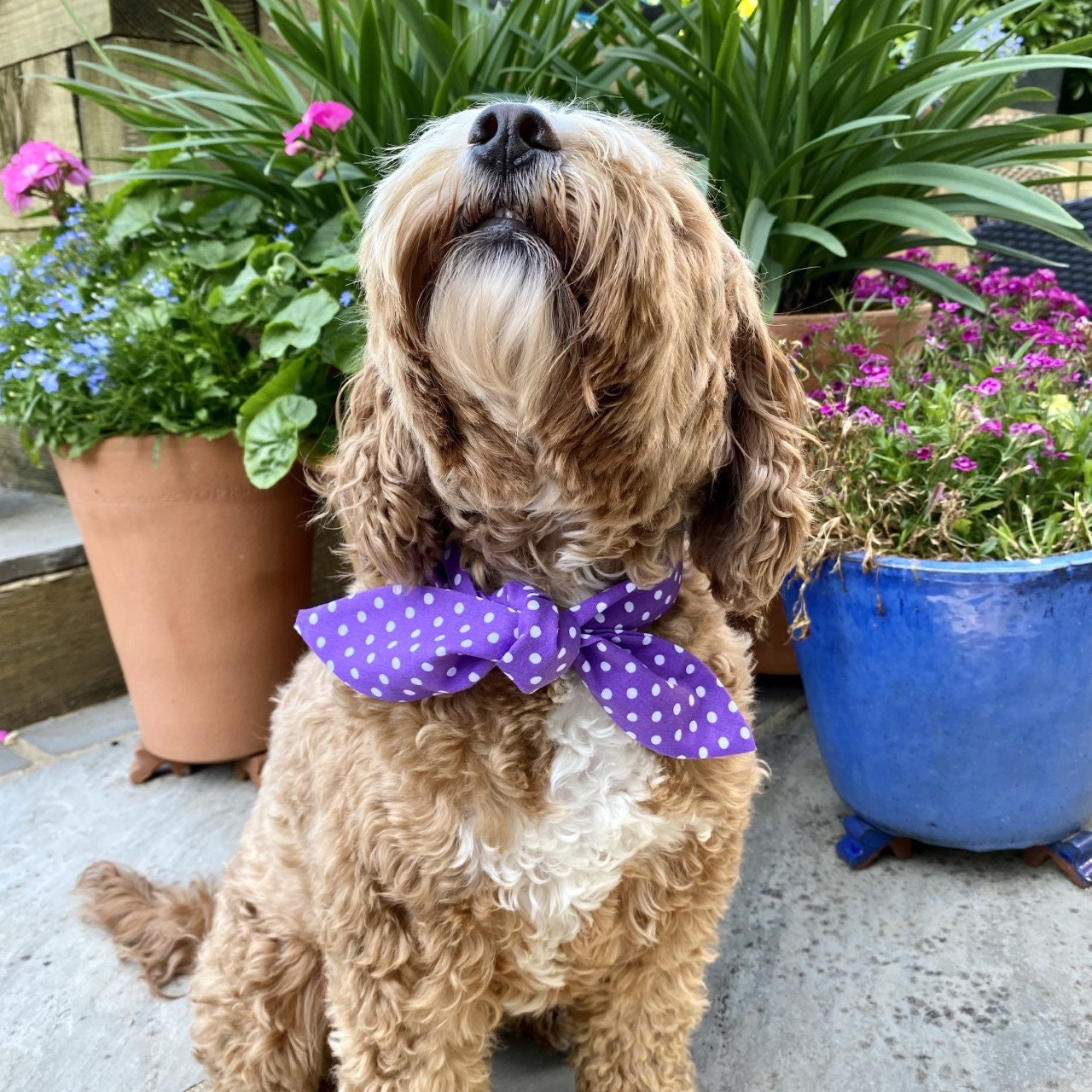 Dog Neckerchief Neck Tie Bow Ties Bows Neckwear Dog - Etsy UK