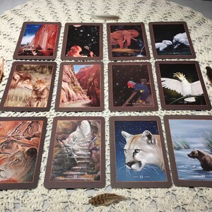 Inner Compass Oracle Deck - Finding Your North Star Through Nature and ...