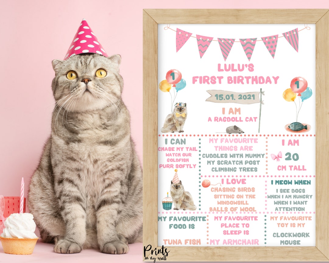 Cat Birthday Prints, Boy & Girl Cat Birthday Posters, Various Cat ...