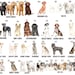 Multiple Dog Cat Print, Personalised Dog Print, Pet Prints, Dog & Cat ...