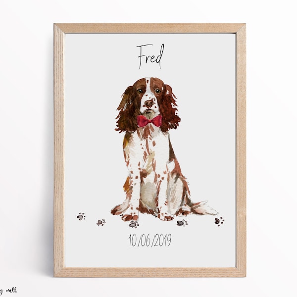 Springer Spaniel Art - Etsy