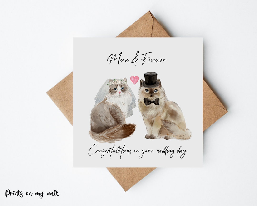 Cat Wedding Card, Meow & Furever, Cute Wedding Cards, Congratulations ...