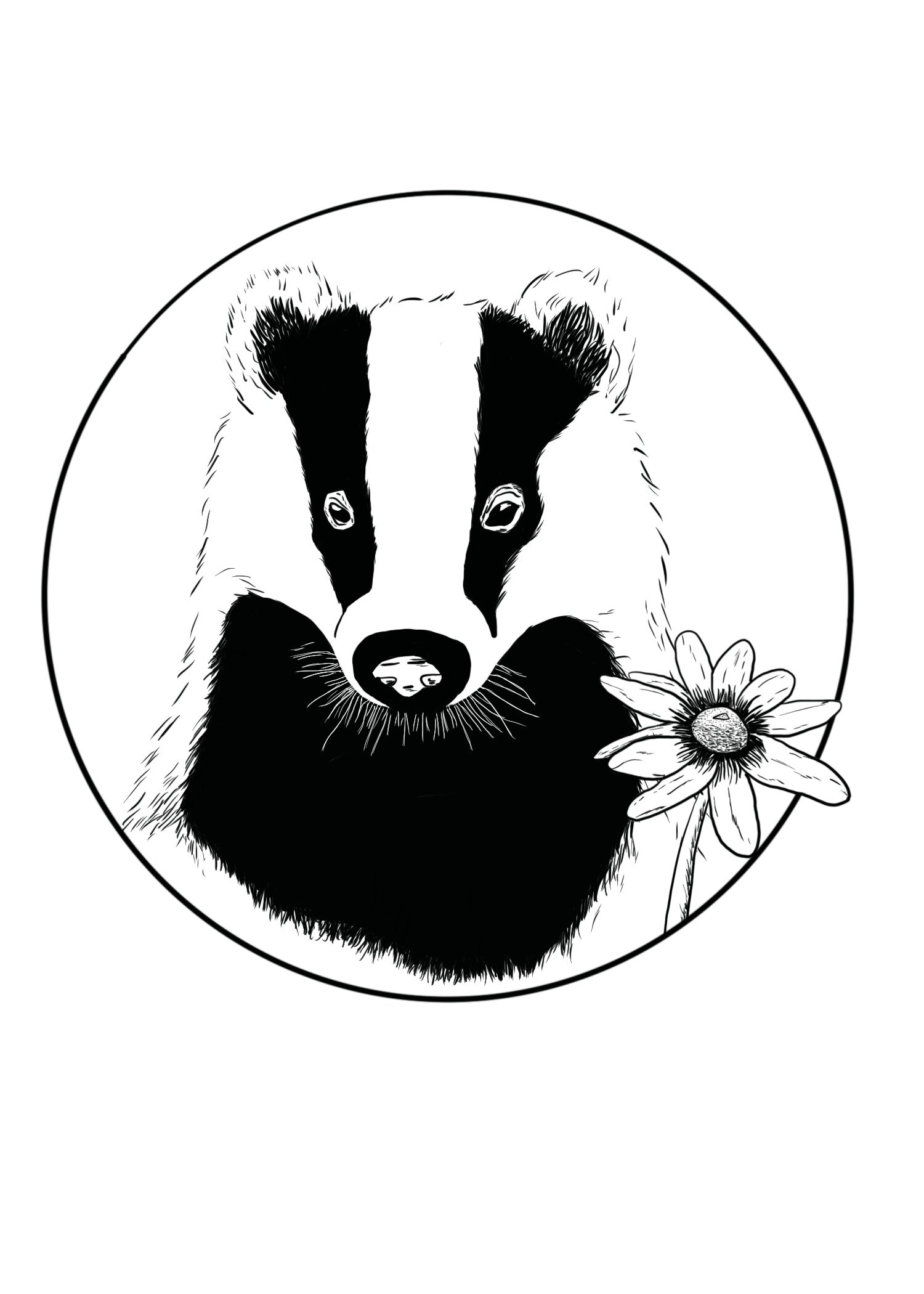 Honey- Badger Print, Simple Badger Art Print, Badger Art - Etsy