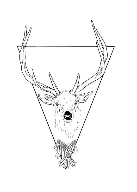 Simple Elk Drawing