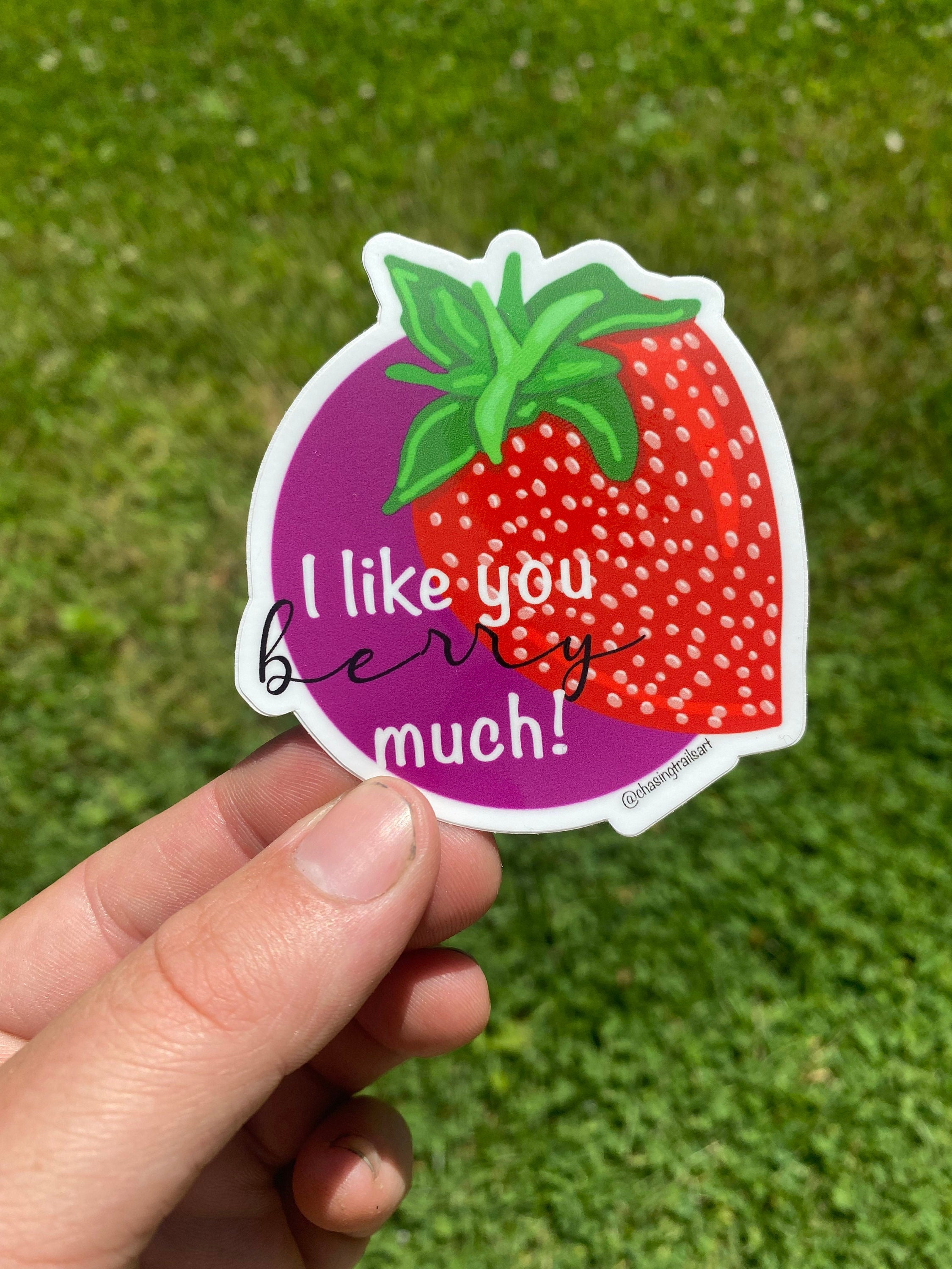 Fruit Sticker- Fun Fruit Sticker, Laptop Sticker - Etsy