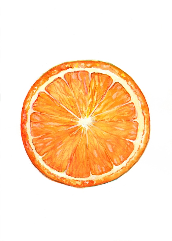 Orange Slice Illustration