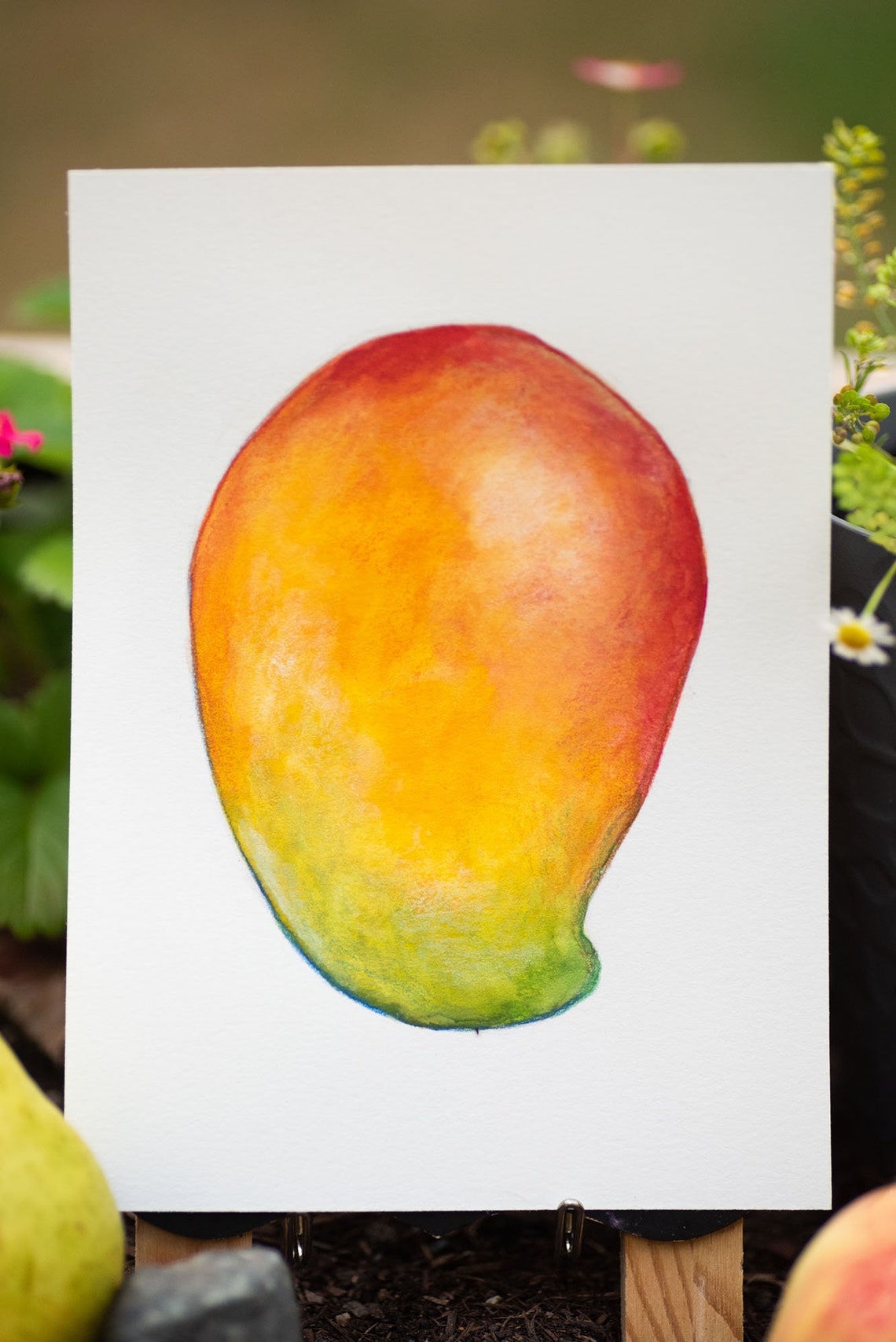 Mango Original Watercolor Painting - Etsy