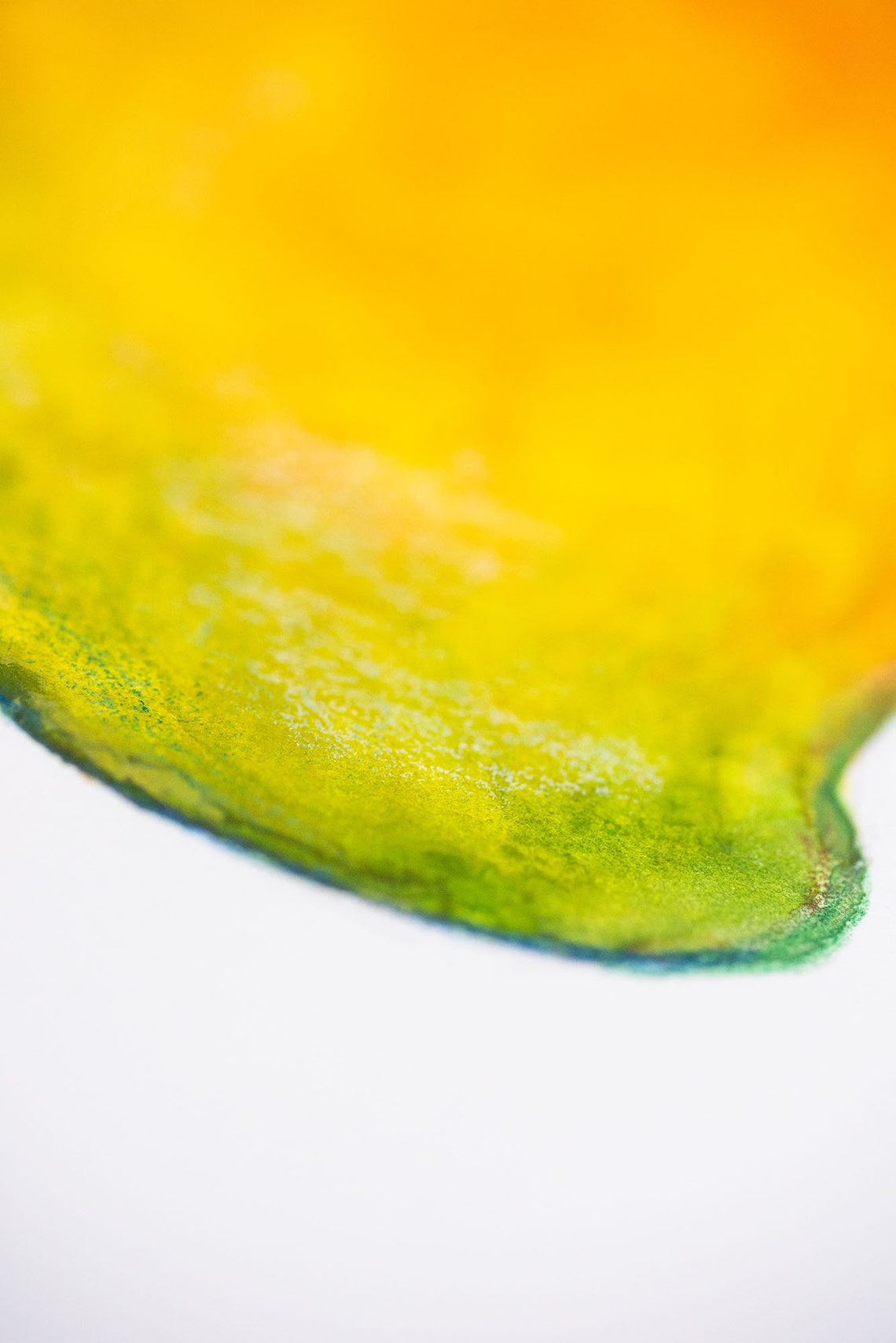 Mango Original Watercolor Painting - Etsy