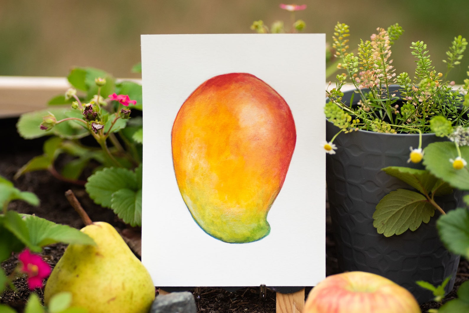 Mango Original Watercolor Painting - Etsy