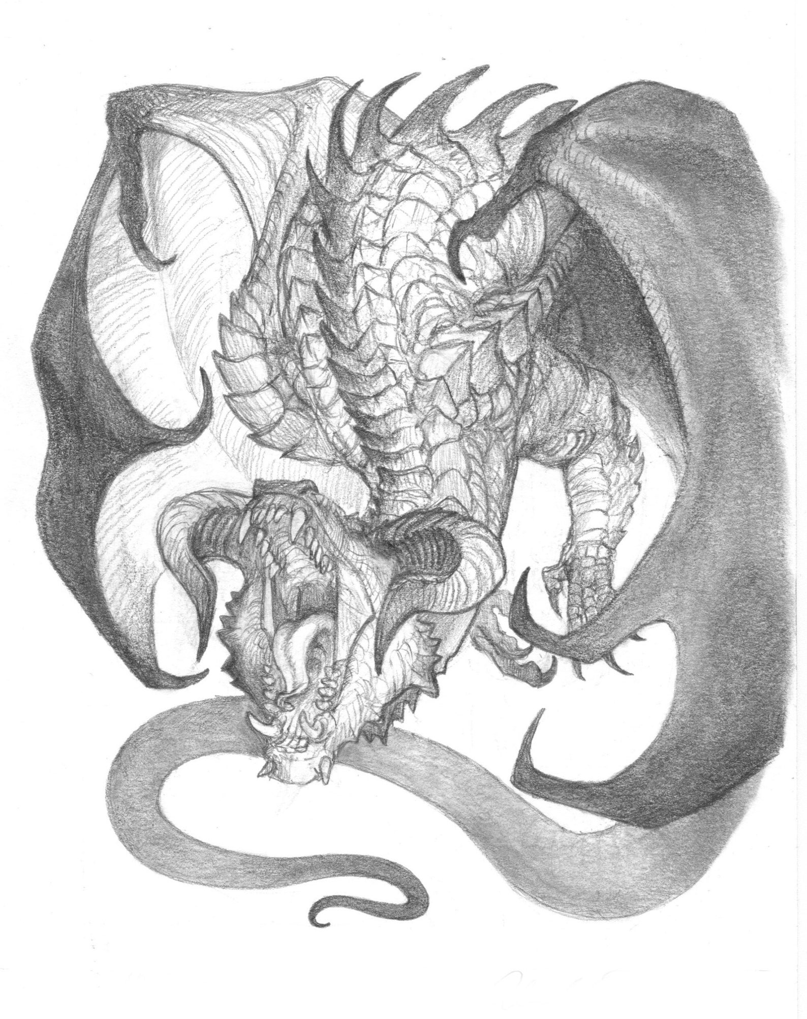 Snap Snap Original Drawing | Etsy