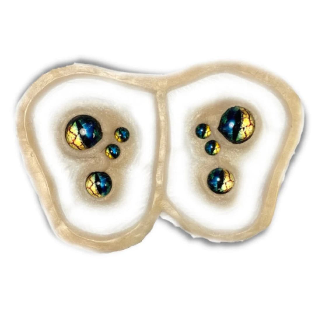 Spider Insect Eyes, Eyebrow Blockers, Silicone Prosthetics for Cosplay ...