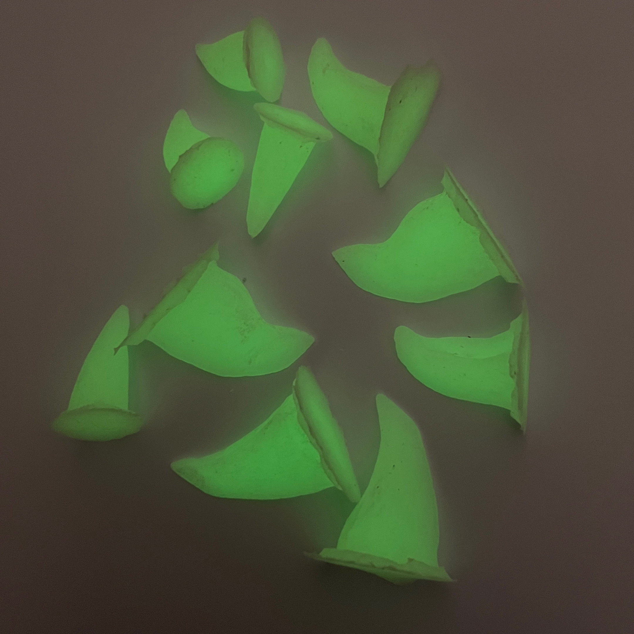 Small Horns 10 Pieces Set, Silicone Prosthetics for Cosplay, LARP ...