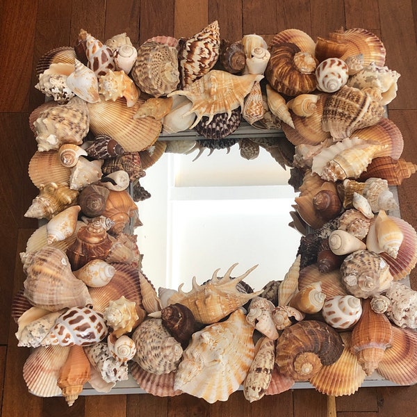 Seashell Mirror - Etsy