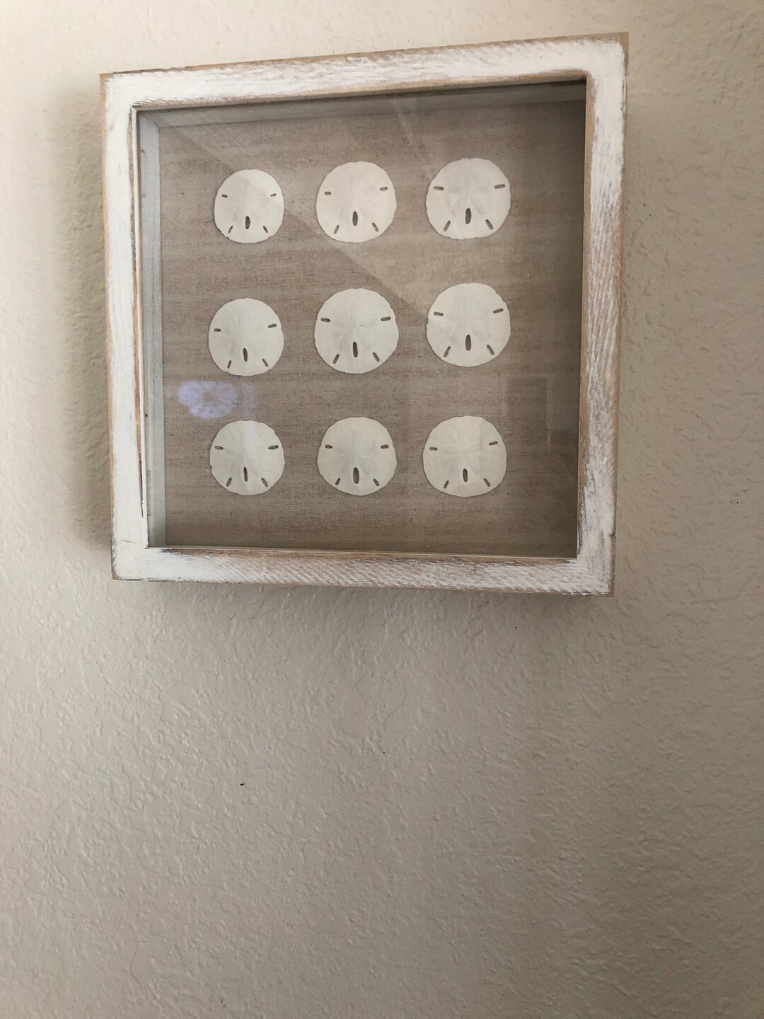 Shadow Box Wall Art Hamptons Home Interior Seashell Art Palm Beach ...