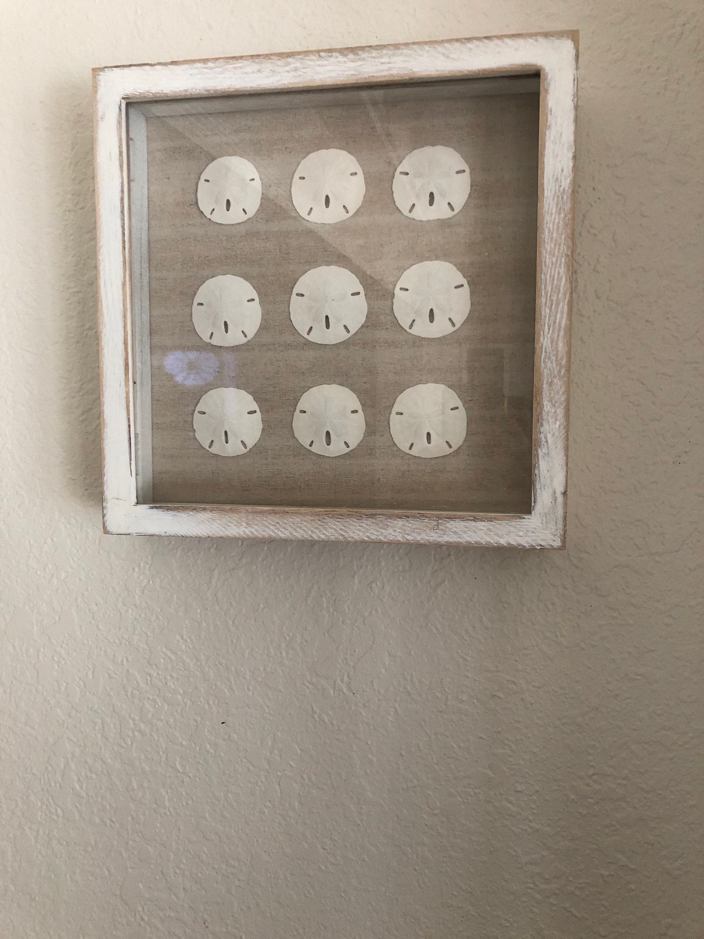 Shadow Box Wall Art Hamptons Home Interior Seashell Art Palm | Etsy