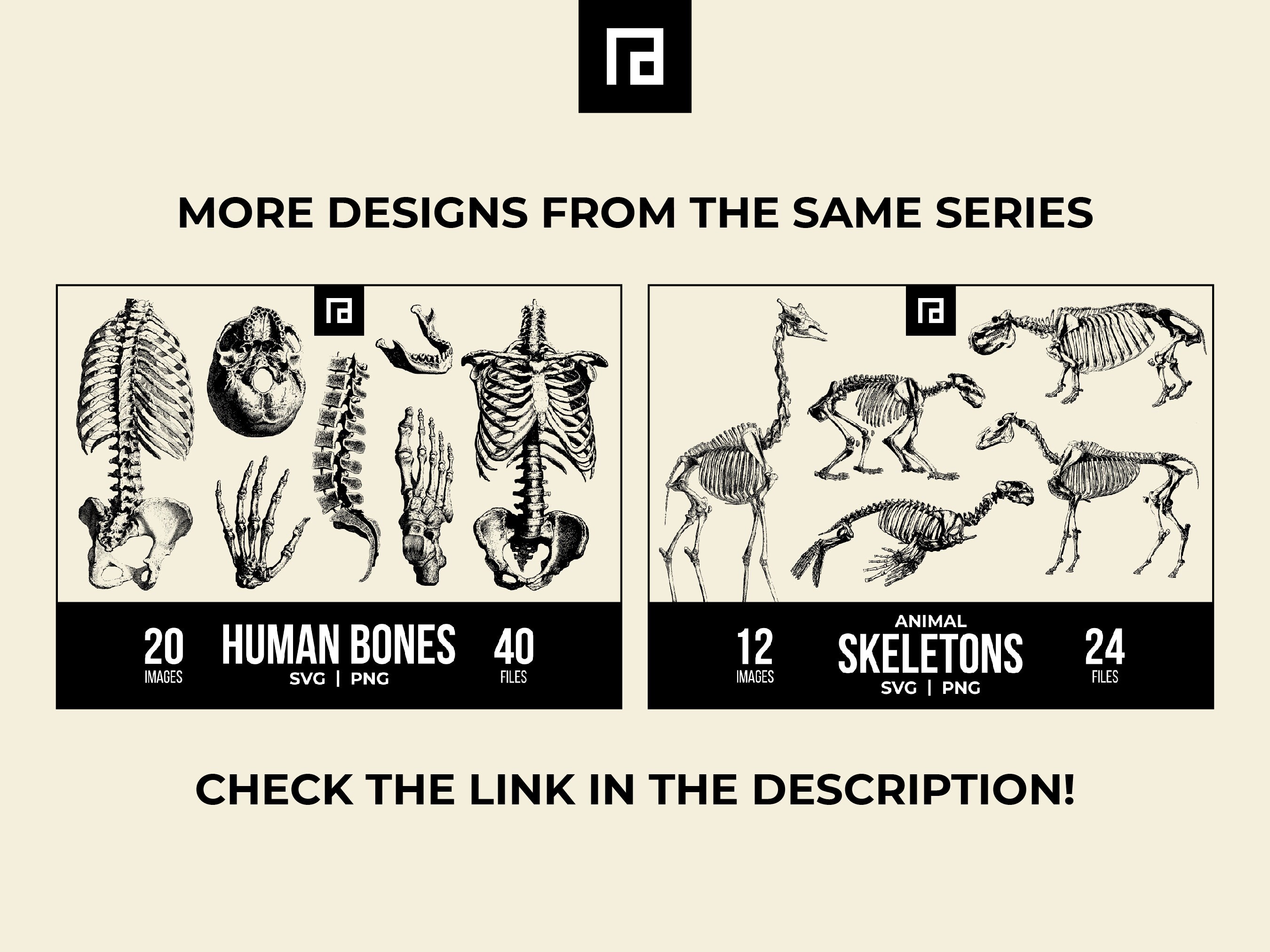 Hand Drawn Human Skeleton Bones SVG PNG Bundle 2, Anatomical Art ...