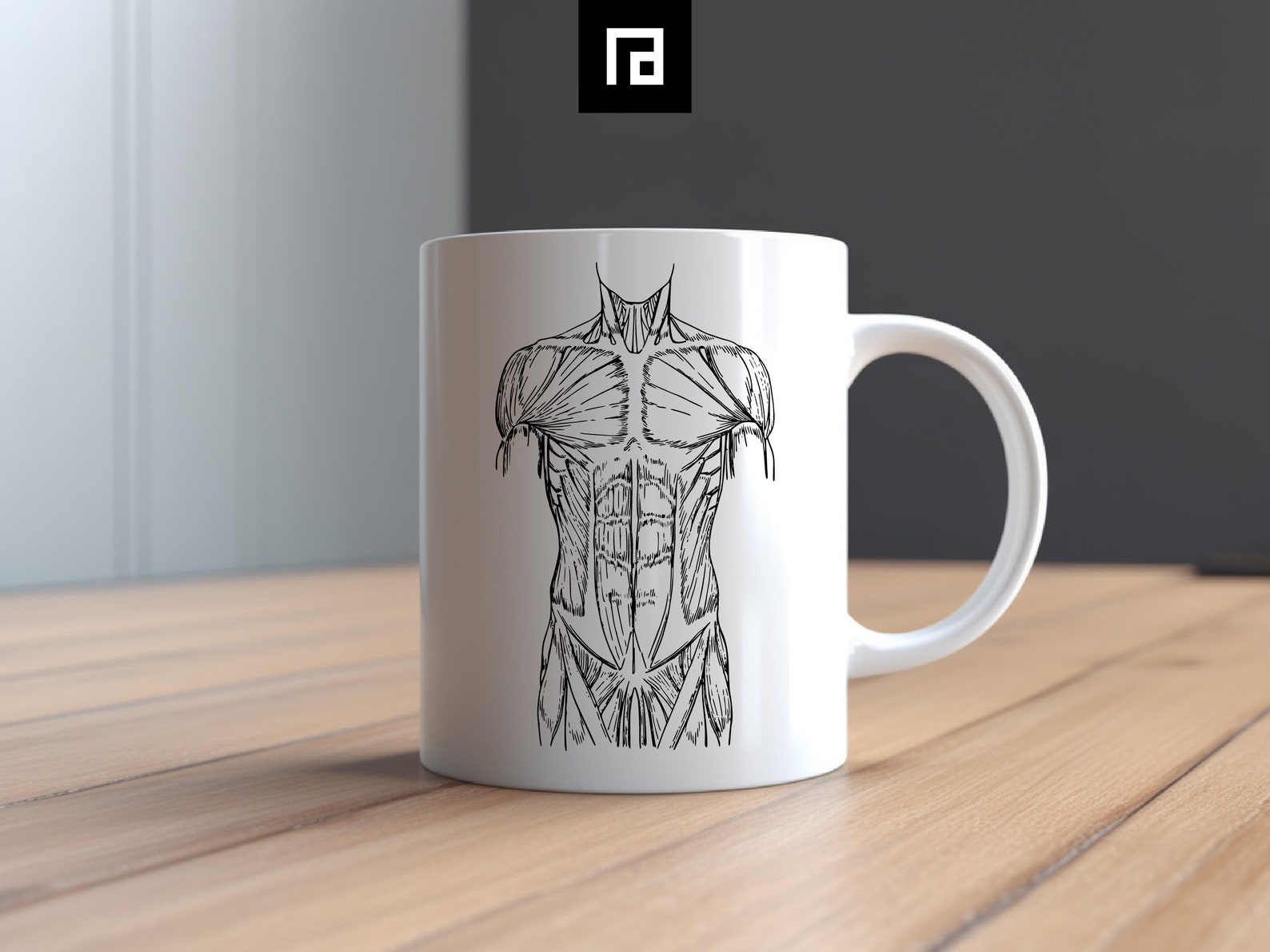 Hand-drawn Human Muscles SVG PNG Bundle, Anatomy Illustrations, Core ...