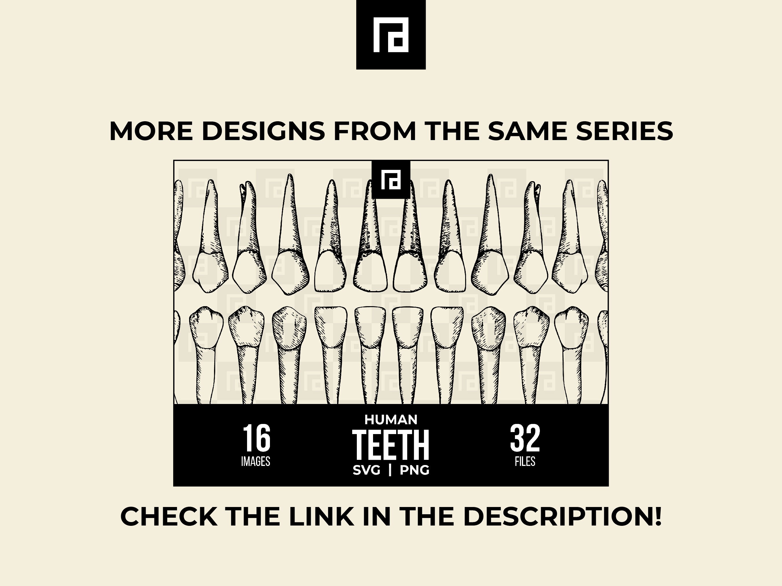 Human Teeth SVG PNG Bundle 2, Hand Drawn Full Arch of 32 Teeth Clipart ...