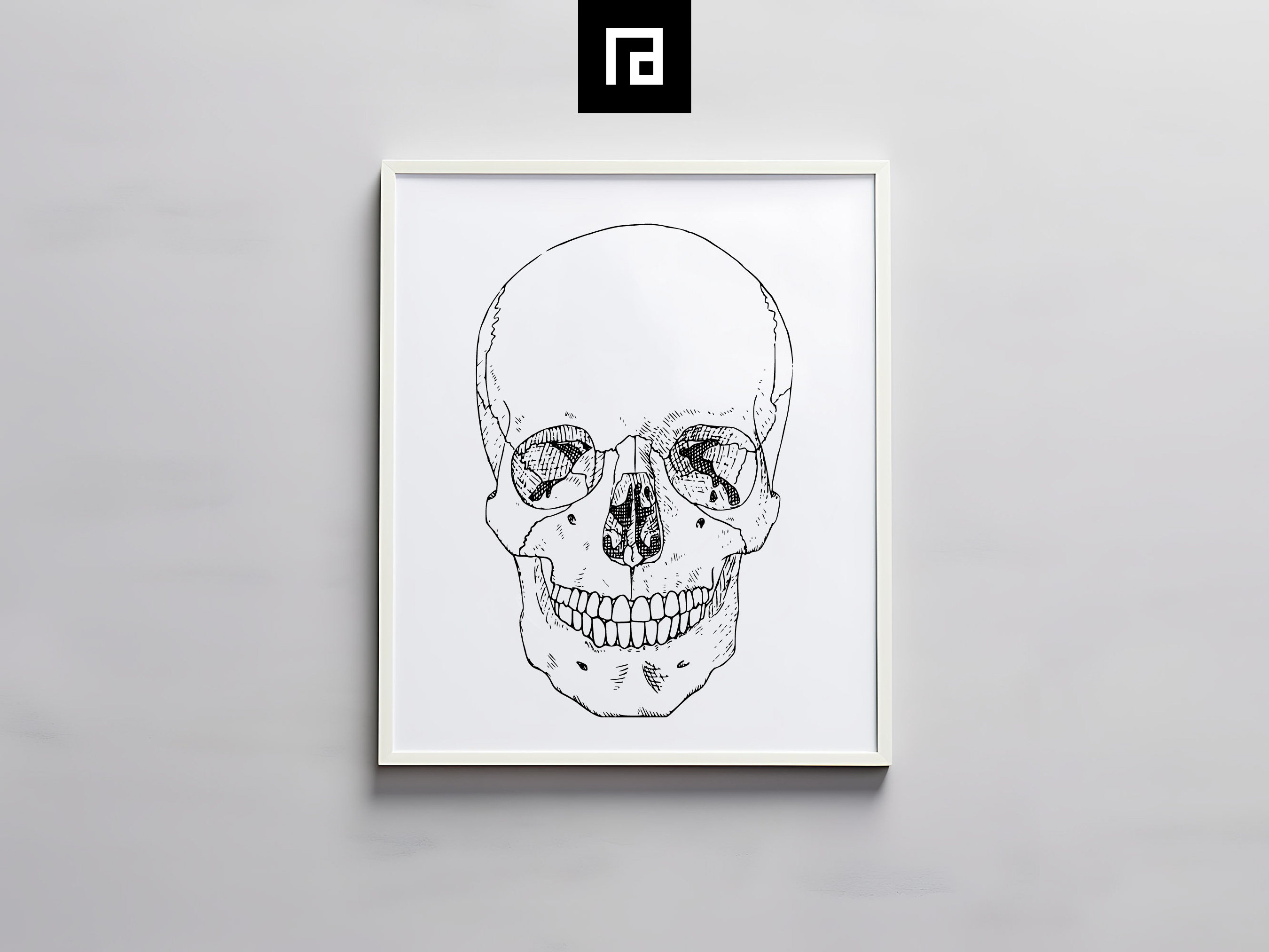 Human Teeth SVG PNG Bundle, Hand-drawn Permanent Teeth, Deciduous Teeth ...