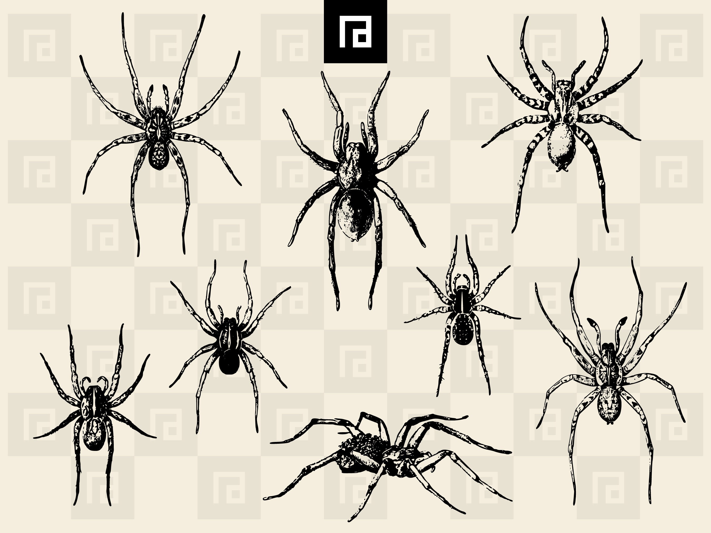 Vintage Spiders SVG PNG Bundle, Hand Drawn Poster, Invitations ...