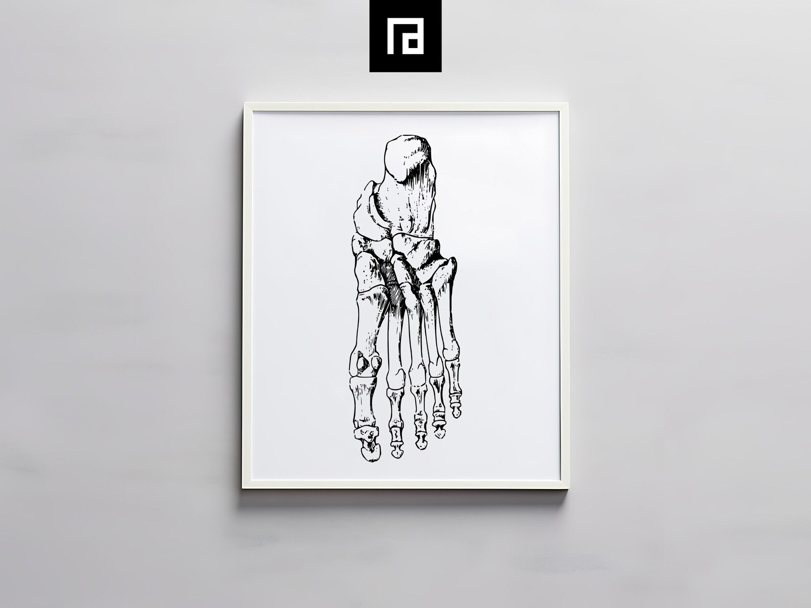 Hand Drawn Human Skeleton Bones SVG PNG Bundle 2, Anatomical Art ...