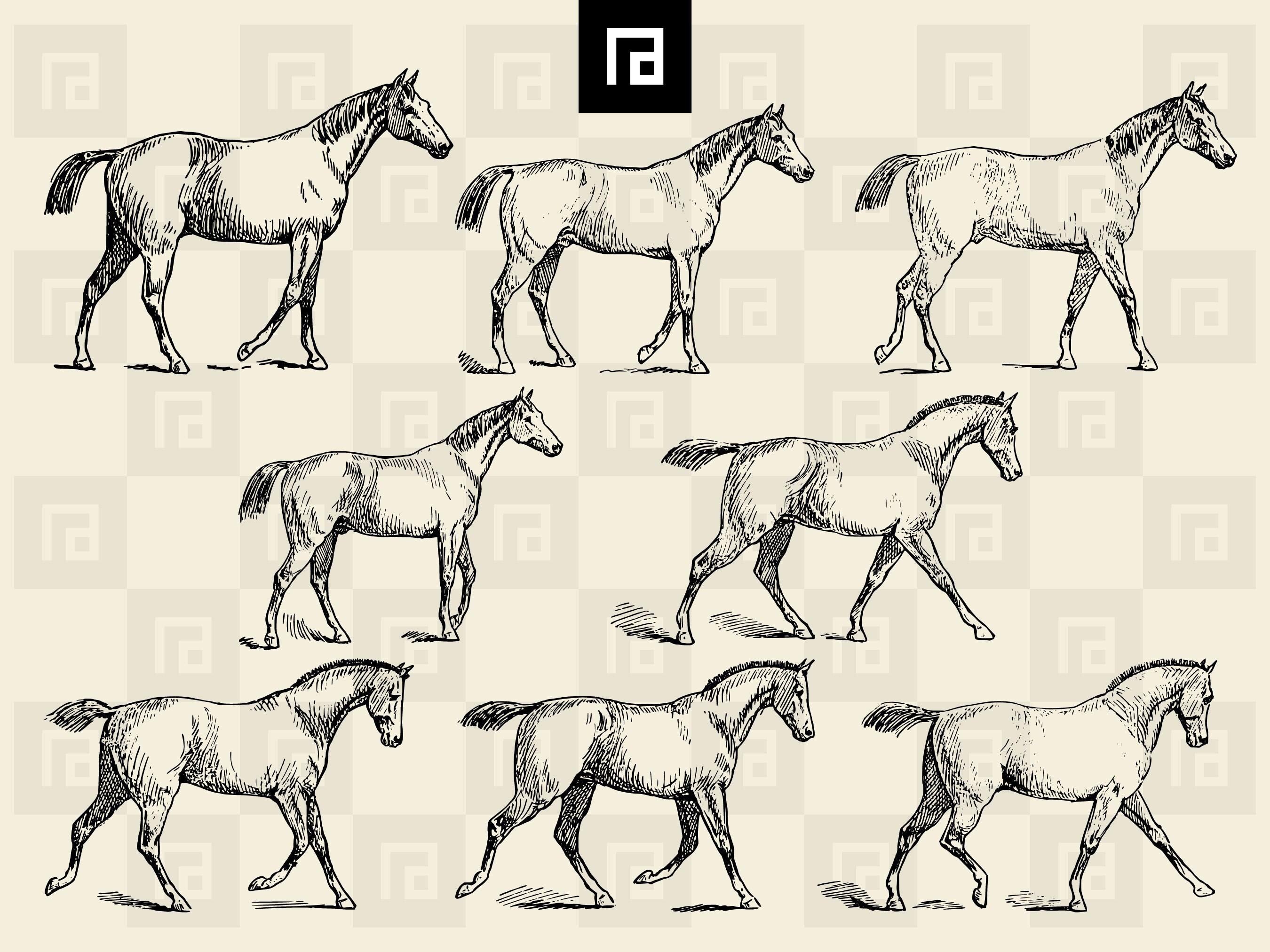 Hand Drawn Horses Svg Png Bundle, Natural and Acquired Paces, Canter ...