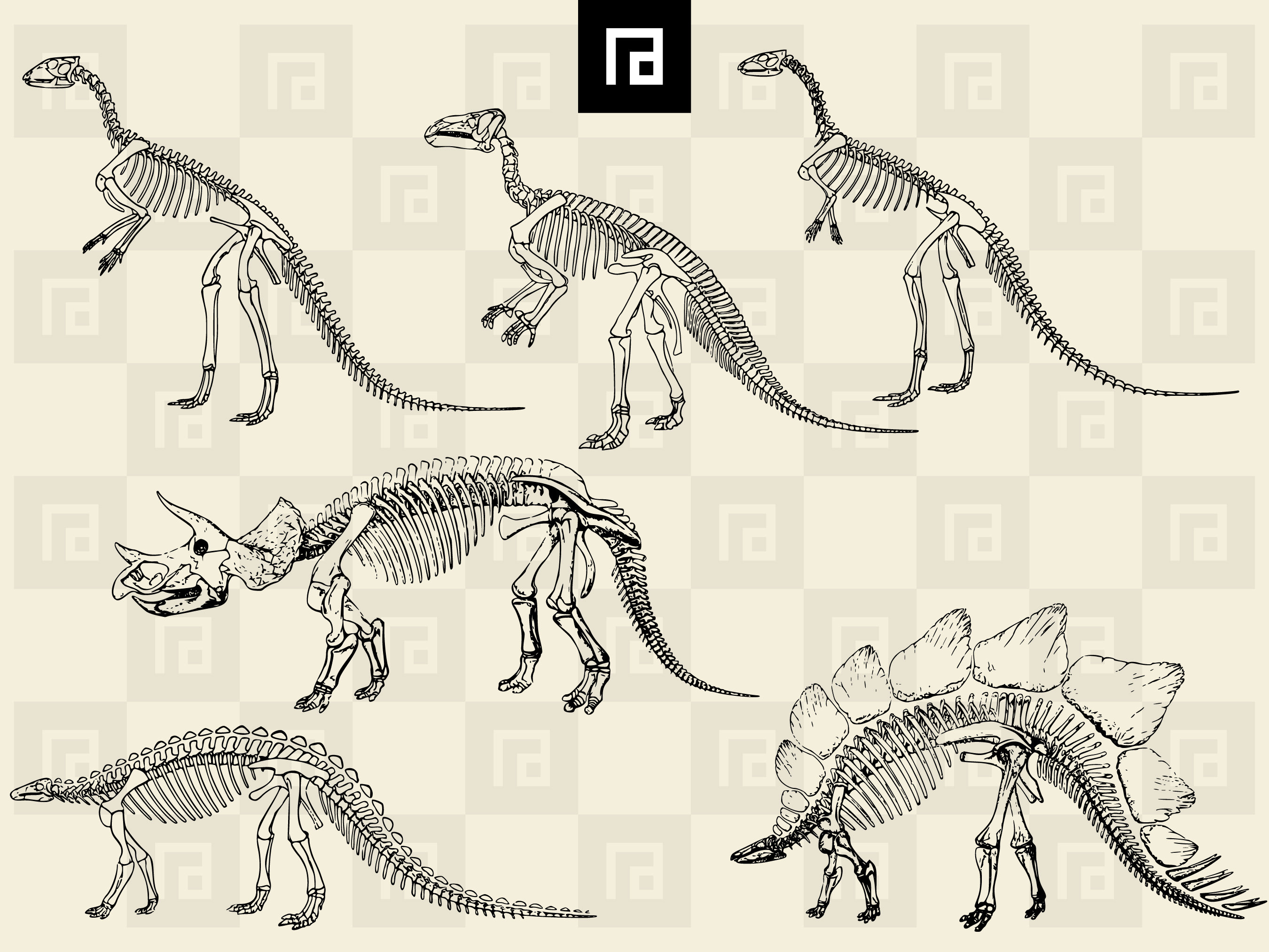 Prehistoric Dinosaur Skeletons SVG PNG Bundle, Hand-drawn Fossil ...