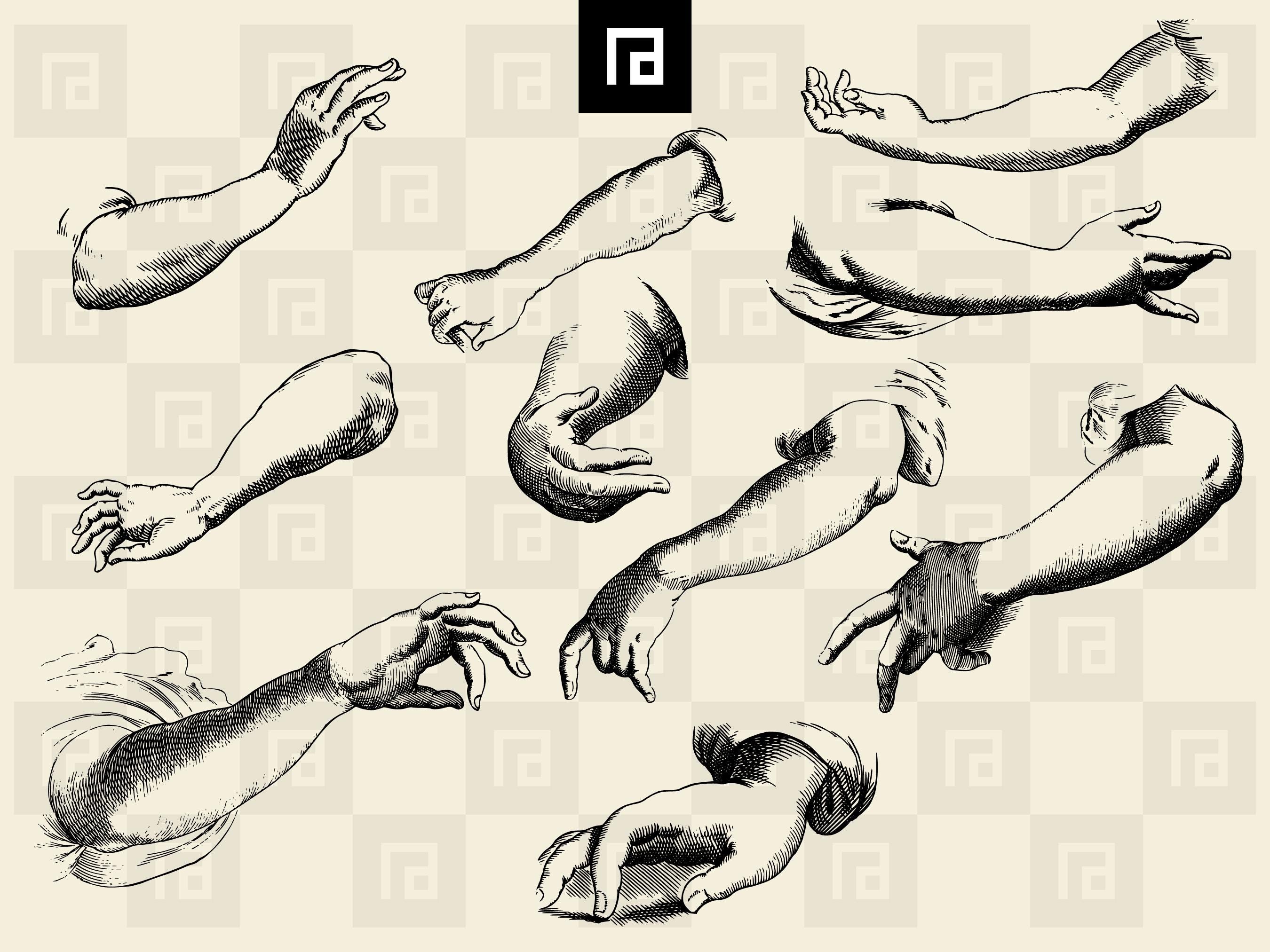 Hand Drawn Human Hands and Arms SVG PNG Collection, Shoulder, Elbow ...